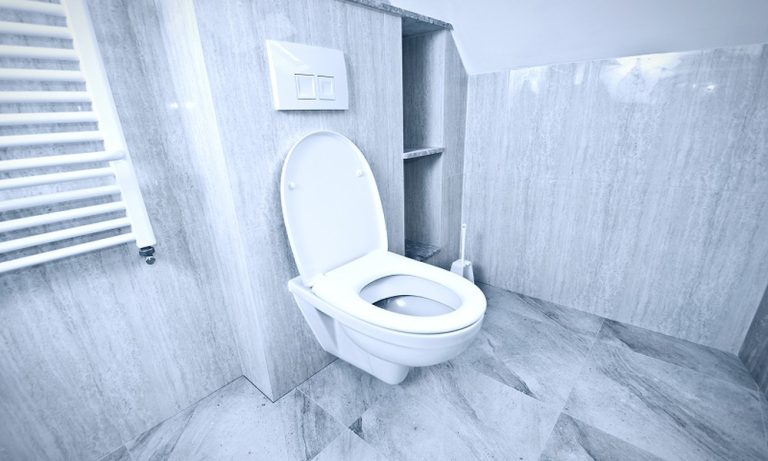 What to Consider Before Replacing or Upgrading a Toilet Bowl - Diy Home ...